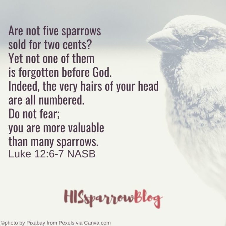 Fear’s Worst Fear: 9 Verses for the Fight – HISsparrowBlog