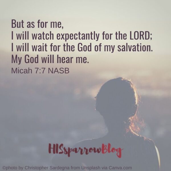 10 Encouraging Verses for the Time In-Between – HISsparrowBlog