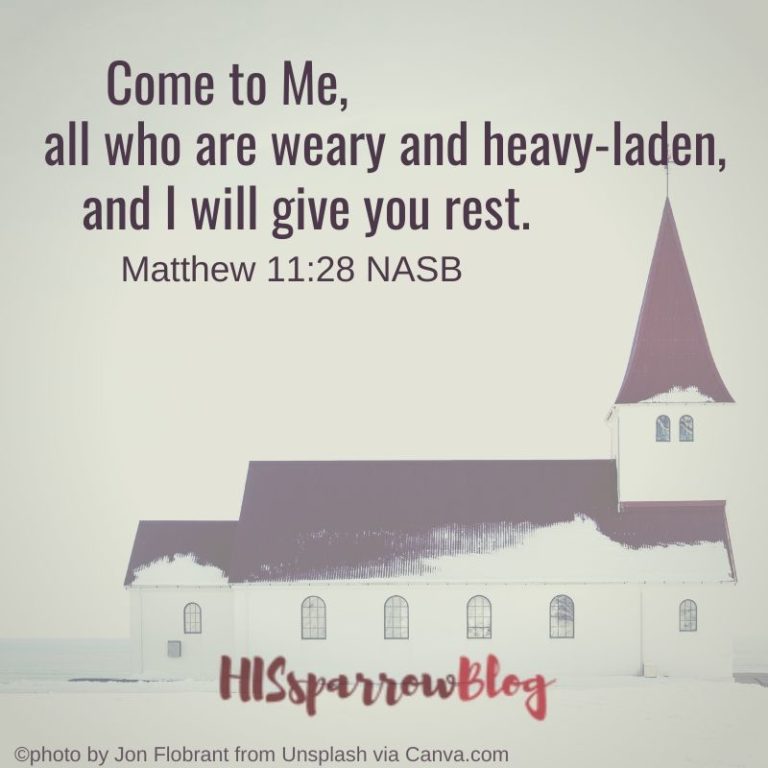 5 Scripture Reminders of Hope for Spring – HISsparrowBlog