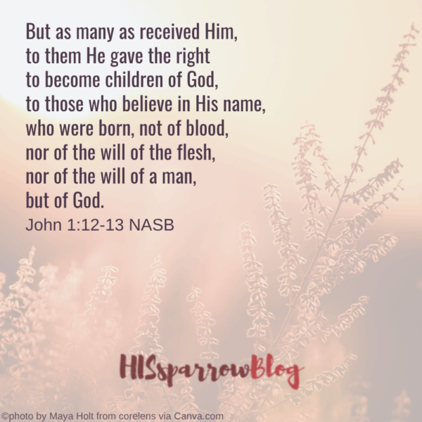 Who Christ Says I Am: Embracing My Identity – HISsparrowBlog